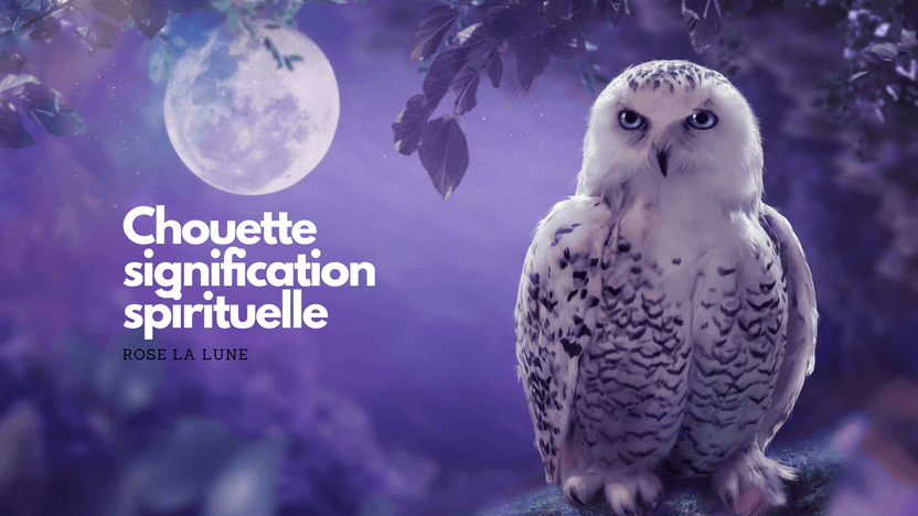 Entendre Une Chouette La Nuit Signification Spirituelle